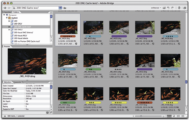 Launching Bridge - Real World Camera Raw with Adobe Photoshop CS2 ...