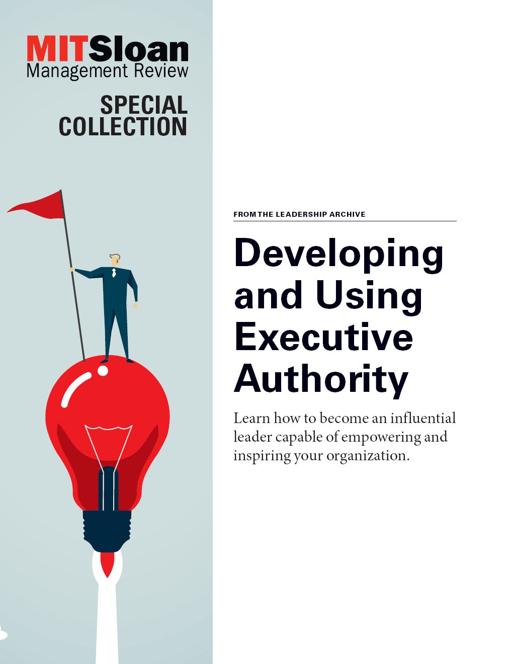 Cover - Developing and Using Executive Authority [Book]
