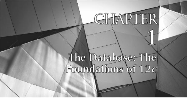 Chapter 1: The Database: The Foundations of 12c - Oracle Database 12c ...