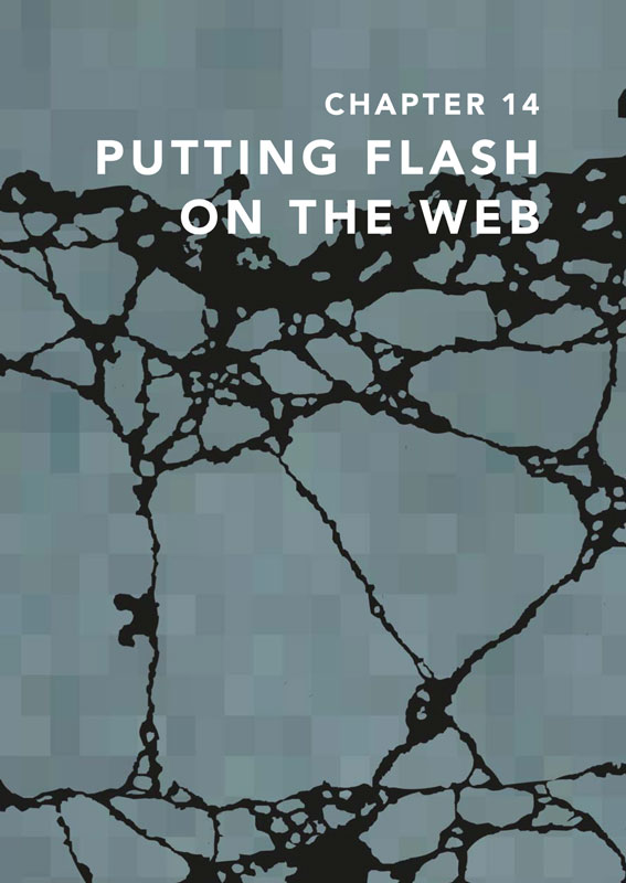 14. Putting Flash on the Web - Focal Easy Guide to Macromedia Flash 8 ...