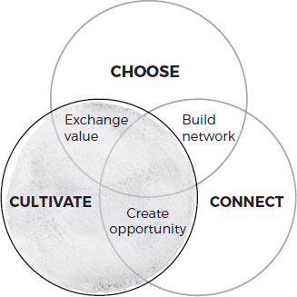 10: Cultivate connections and exchange value - It's Who You Know [Book]