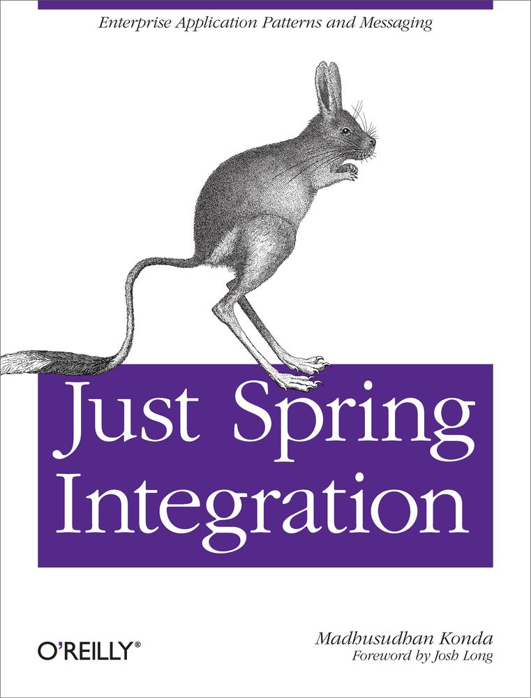 Cover - Just Spring Integration [Book]