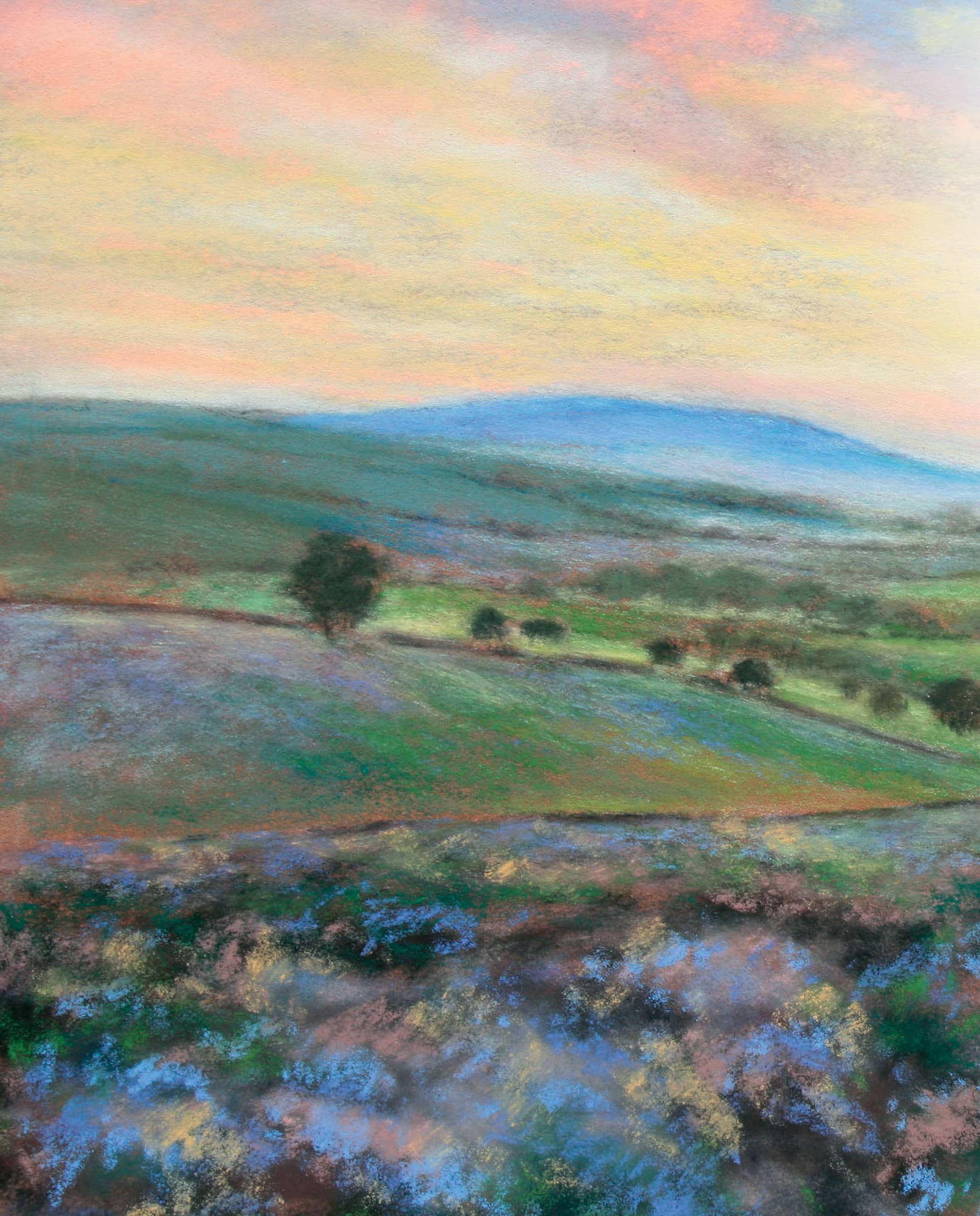 GETTING STARTED - Portfolio: Beginning Pastel [Book]