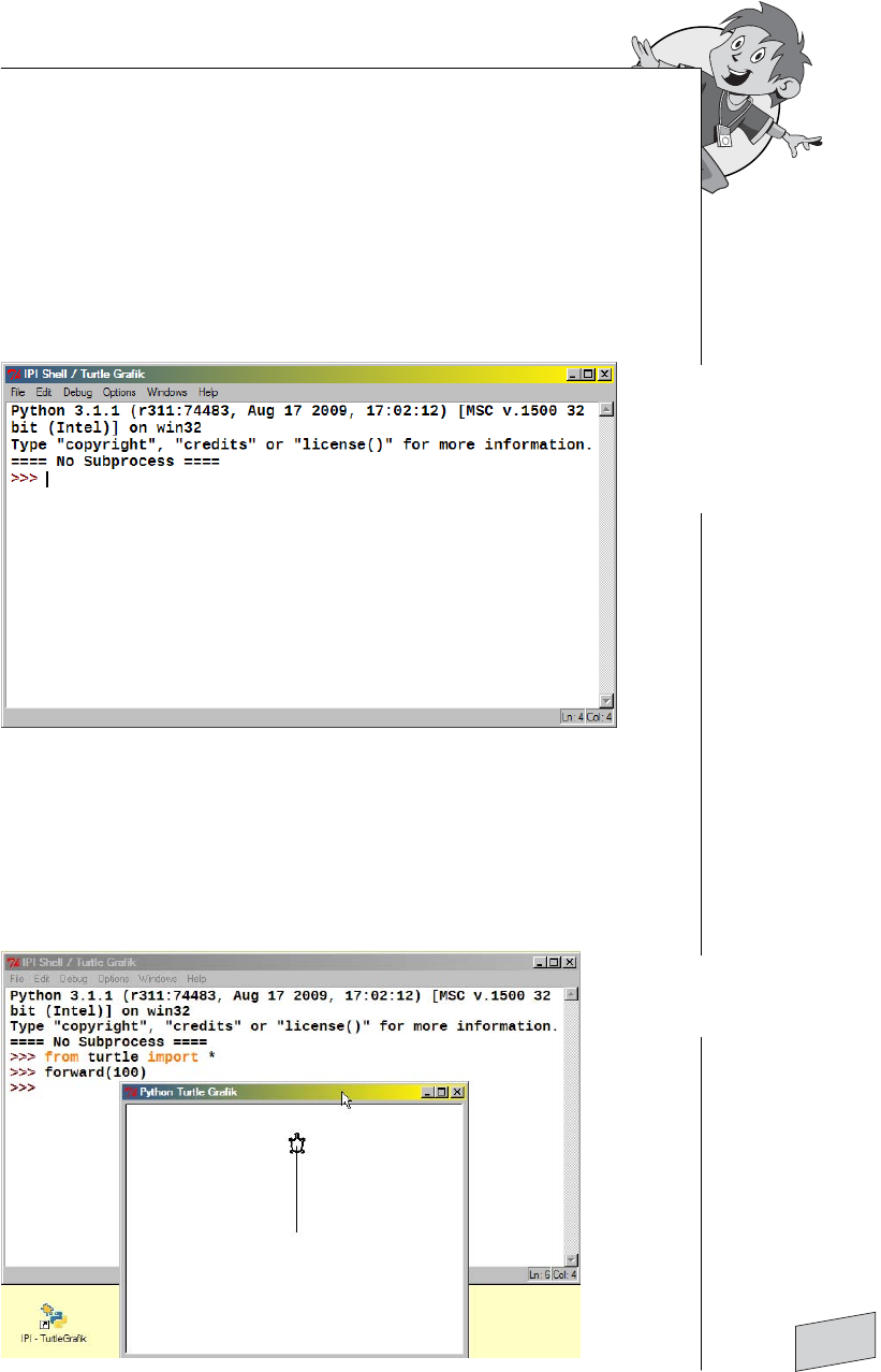 Was Schildkröten mit Grafik zu tun haben: Turtle-Grafik - Python für ...