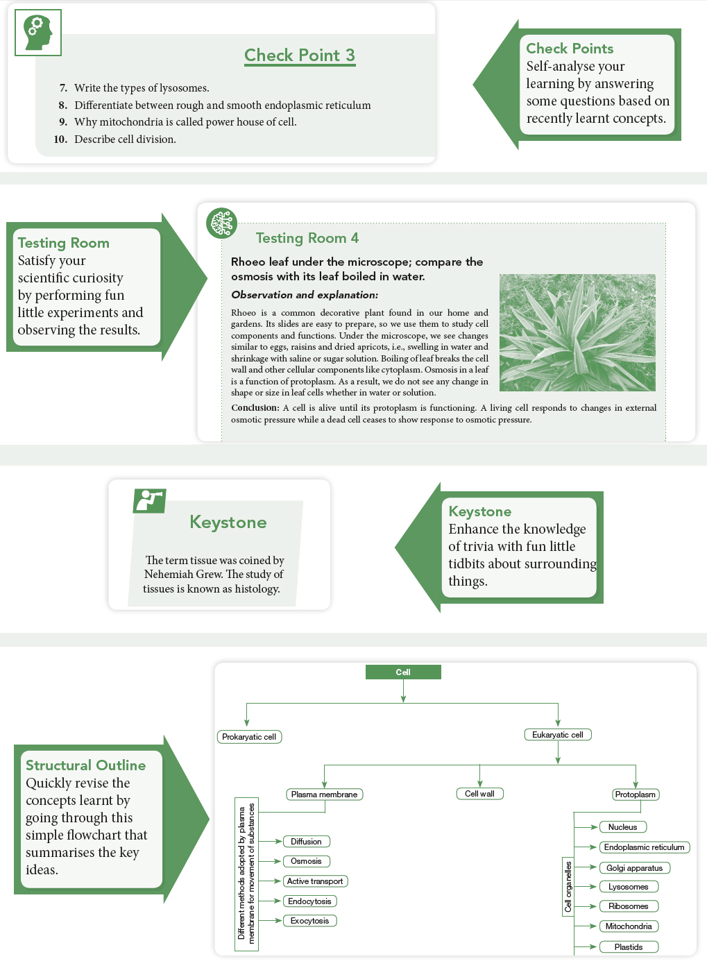 Chapter Insights - Pearson Nvision Foundation'2025 Biology Class 9 ...