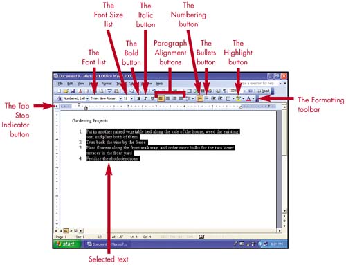 6. Formatting Characters and Paragraphs - Easy Microsoft® Office Word ...