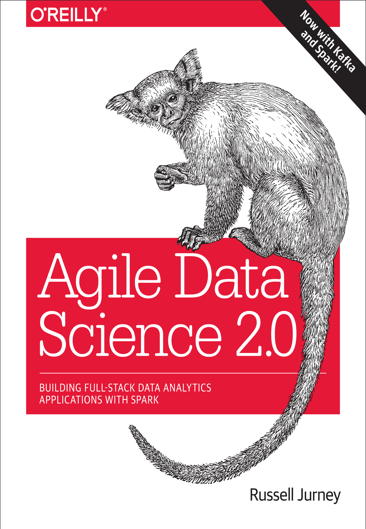 Cover - Agile Data Science 2.0 [Book]