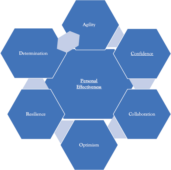 Element Two Confidence - Personal Effectiveness [Book]