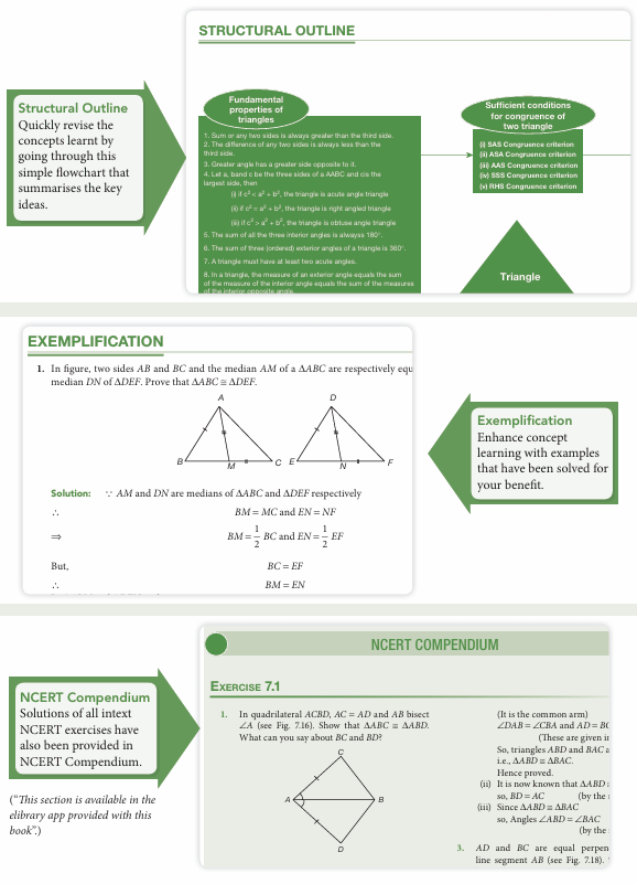 Chapter Insights - Pearson Nvision Foundation'2025 Mathematics Class 9 ...