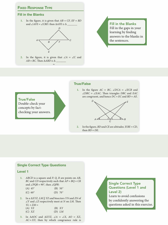 Chapter Insights - Pearson Nvision Foundation'2025 Mathematics Class 9 ...