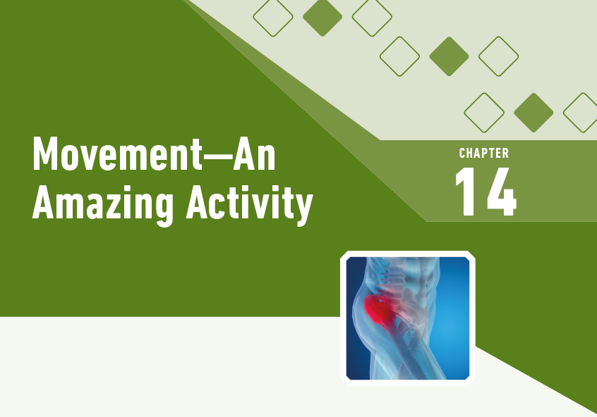 CHAPTER 14: MOVEMENT—AN AMAZING ACTIVITY - Pearson IIT Foundation Class ...