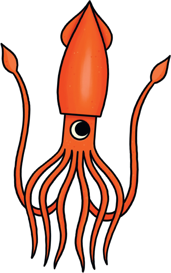 Vamos a dibujar un calamar gigante - Cuaderno de Dibujo Para ...
