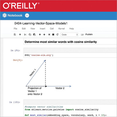 Learning Vector Space Models with SpaCy [Video]