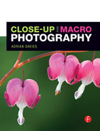Gallery - Close-Up and Macro Photography [Book]