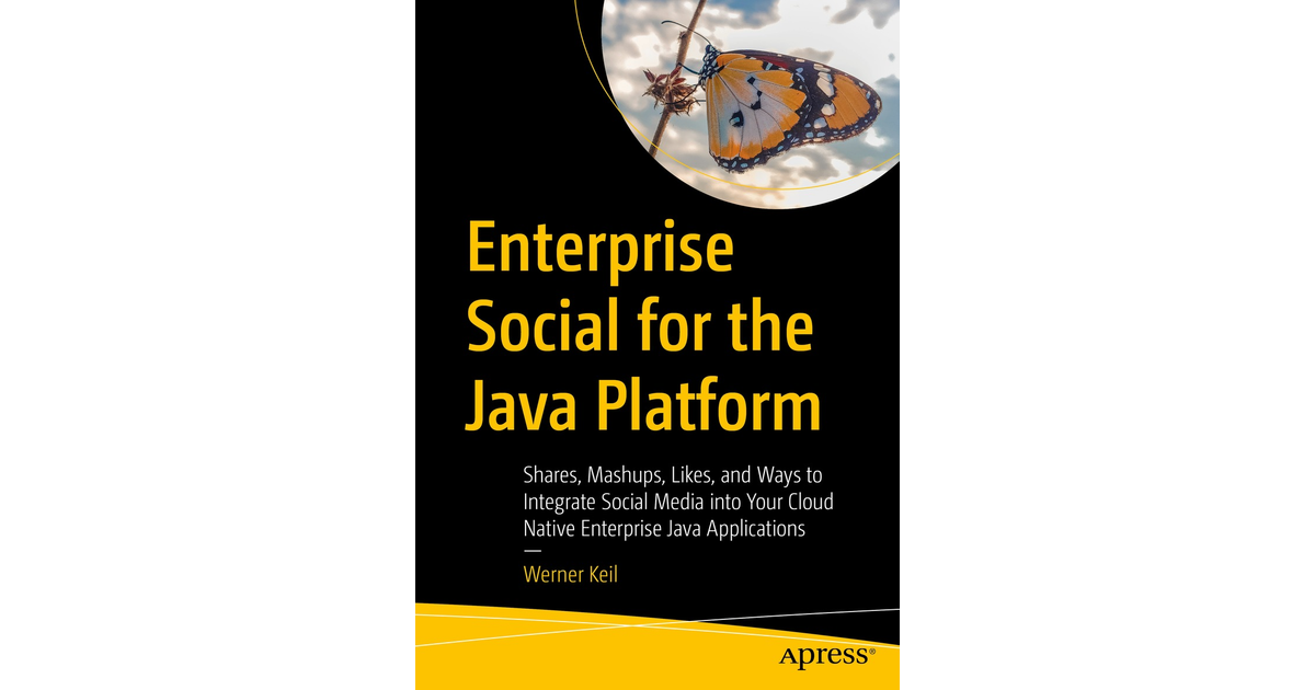 5. Security Frameworks - Enterprise Social for the Java Platform ...