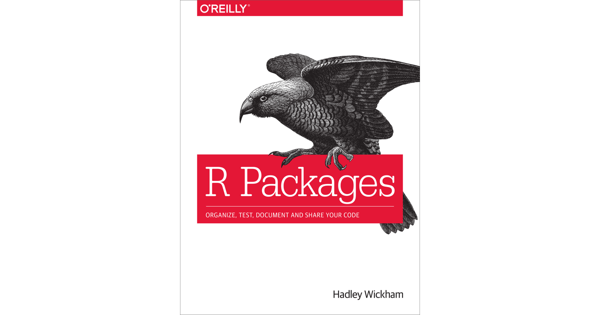 1. Introduction - R Packages [Book]