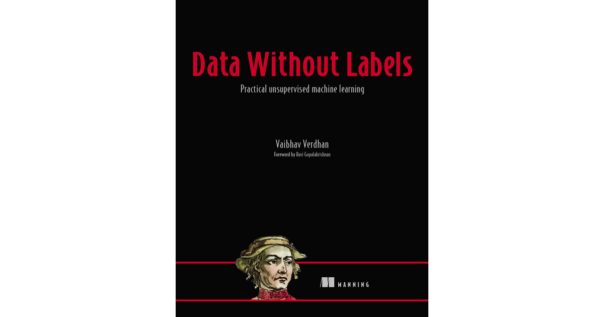 Data Without Labels [Audiobook]