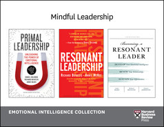 Primal Leadership - Mindful Leadership: Emotional Intelligence ...