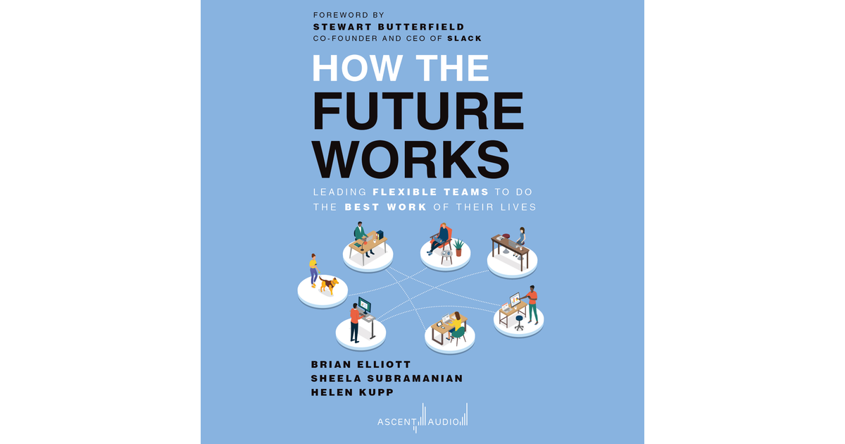 How the Future Works [Audiobook]