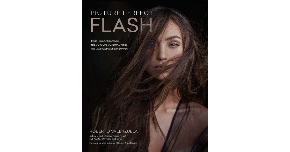 Picture Perfect Flash [Book]