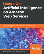 Hands-On Artificial Intelligence on Amazon Web Services [Book]
