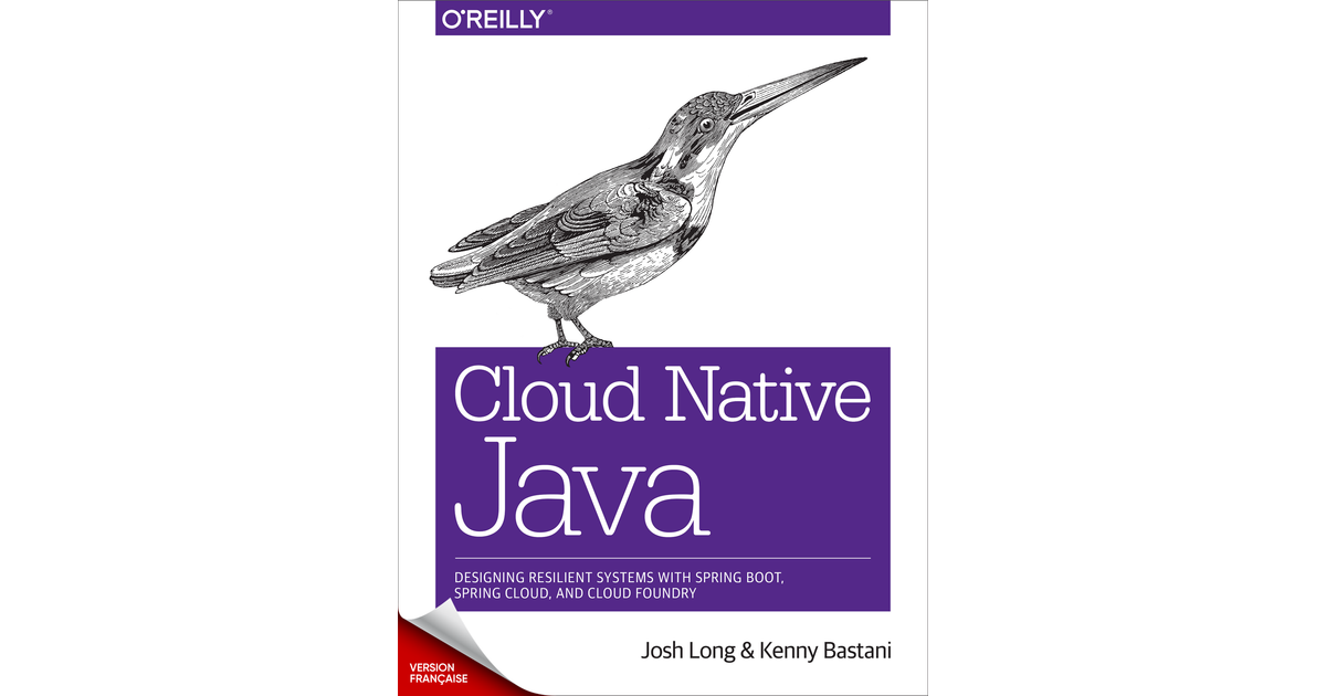 A. Utilisation de Spring Boot avec Java EE - Java natif dans le nuage ...